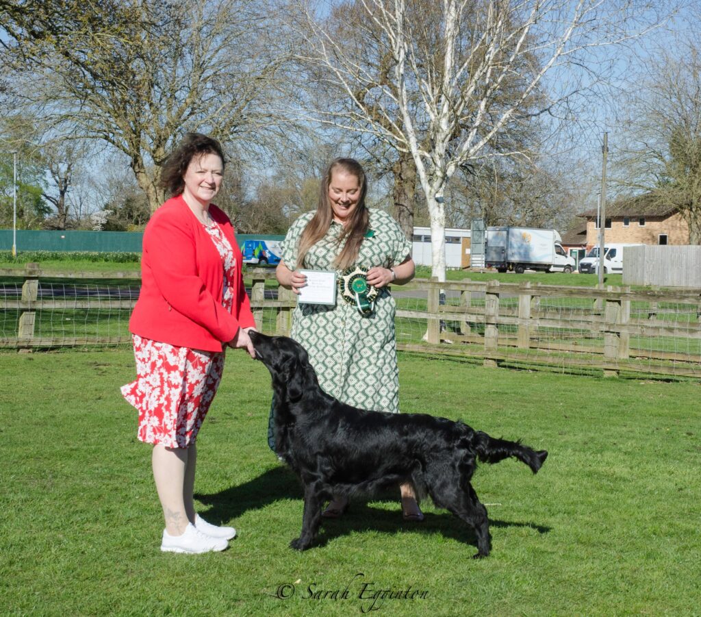 FLATCOATED RETRIEVER SOCIETY 49th Breed Championship Show, Sunday 6th ...